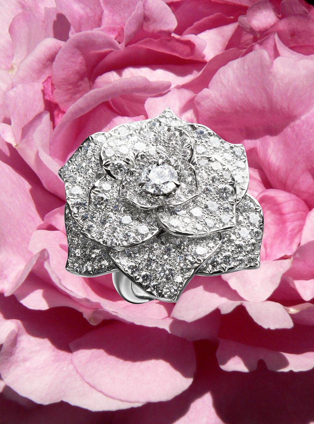 Piaget Rose: The Flower That Never Fades - Time International