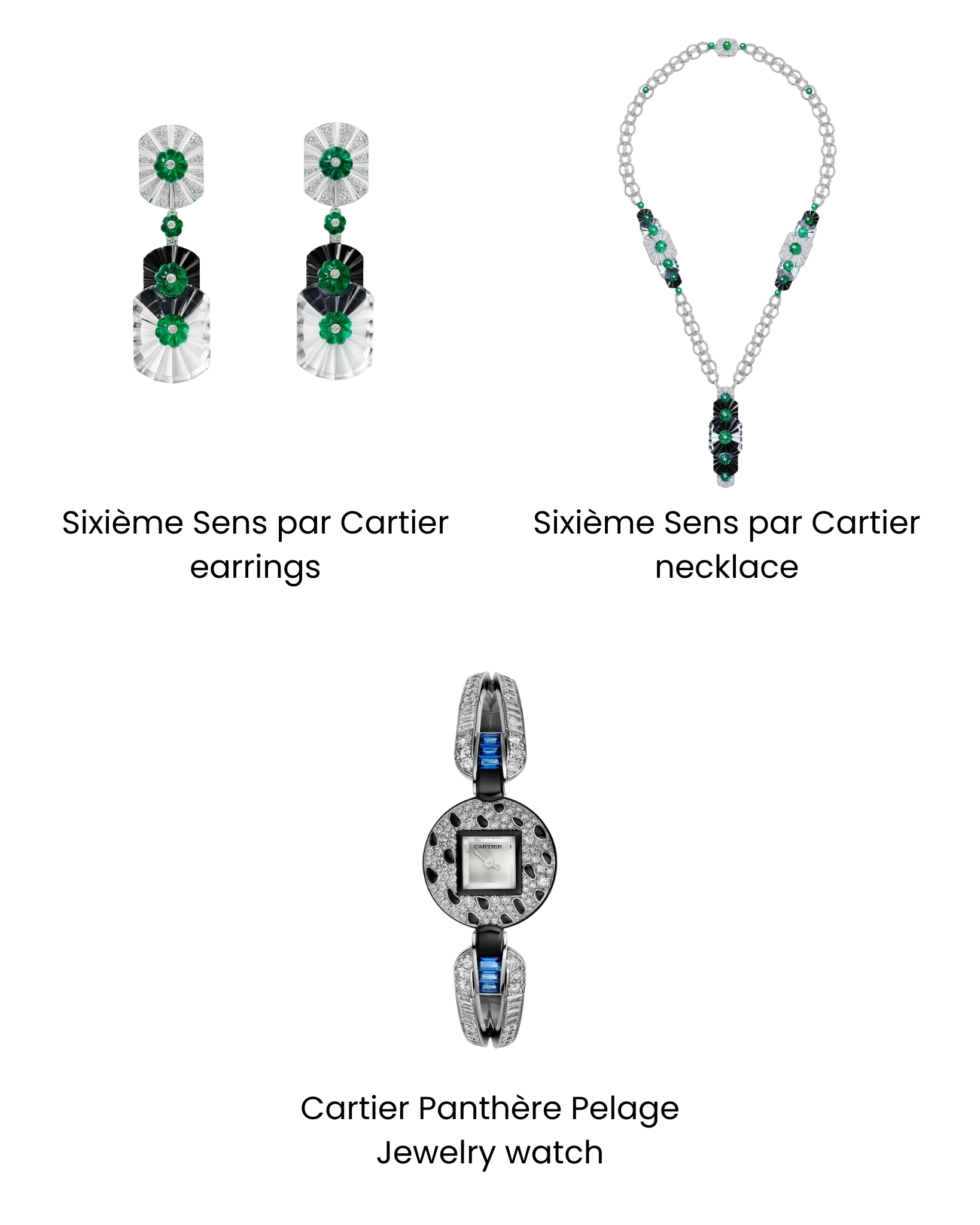 Cartier Shines on the Red Carpet at the 82nd Venice Film Festival