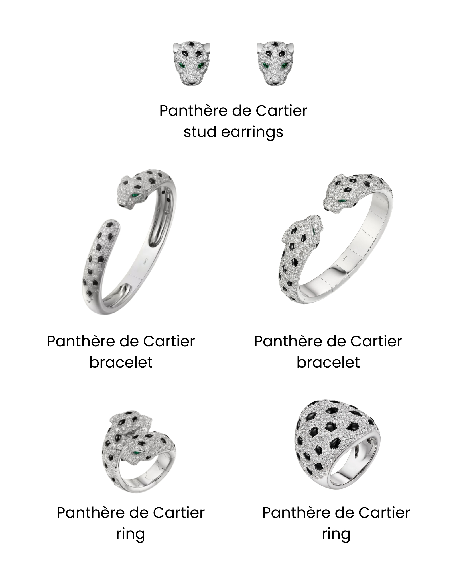 Cartier Shines on the Red Carpet at the 82nd Venice Film Festival
