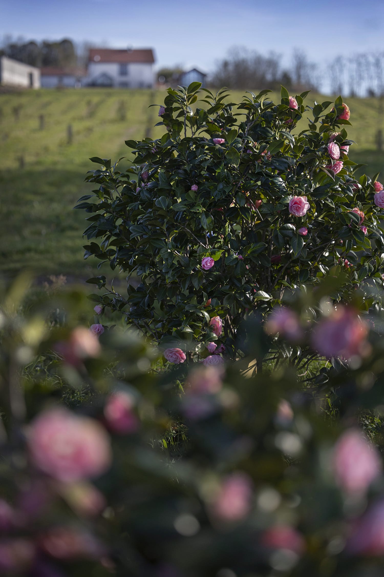 CHANEL Open-Sky Laboratory of Gaujacq - Time International