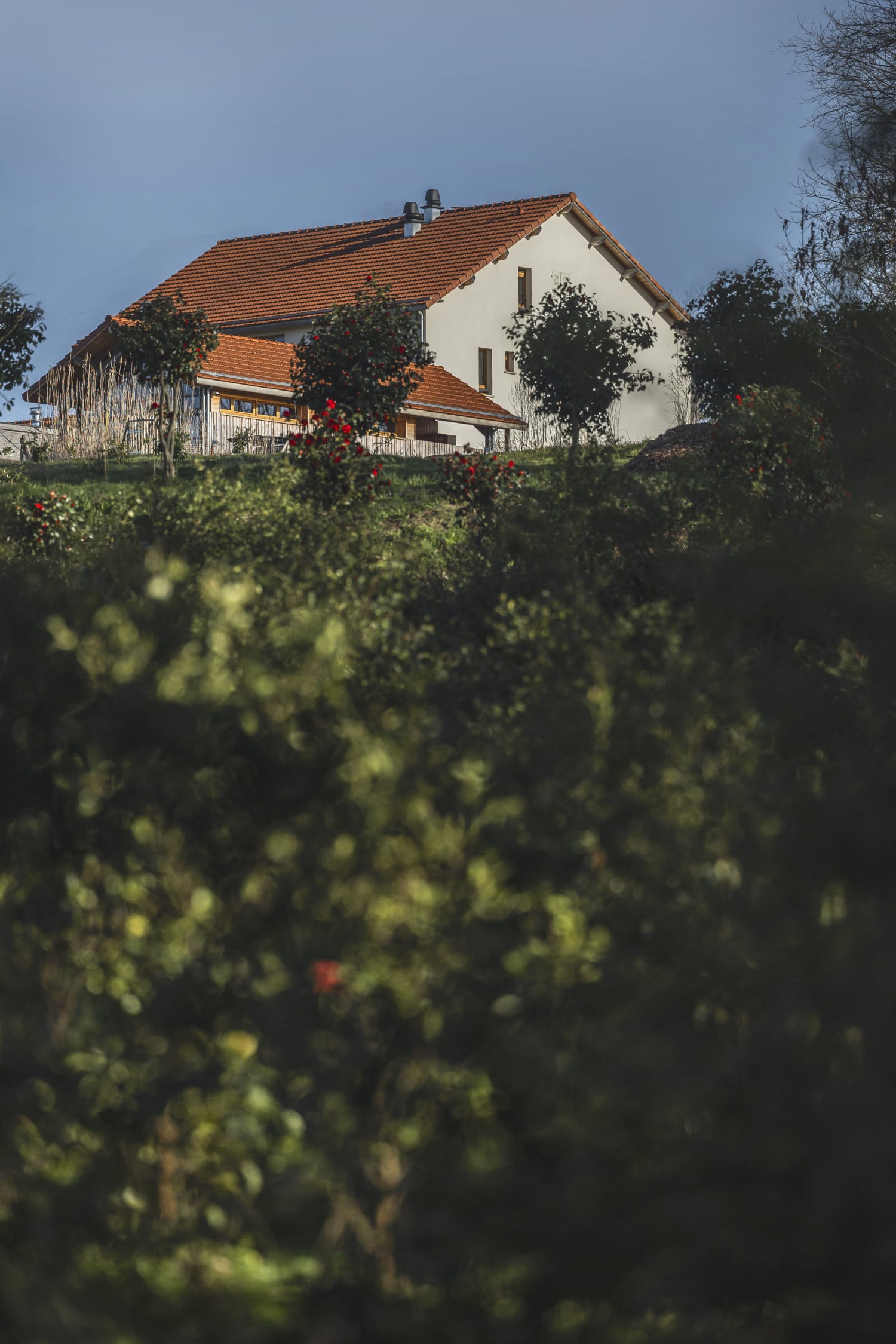 CHANEL Open-Sky Laboratory of Gaujacq - Time International